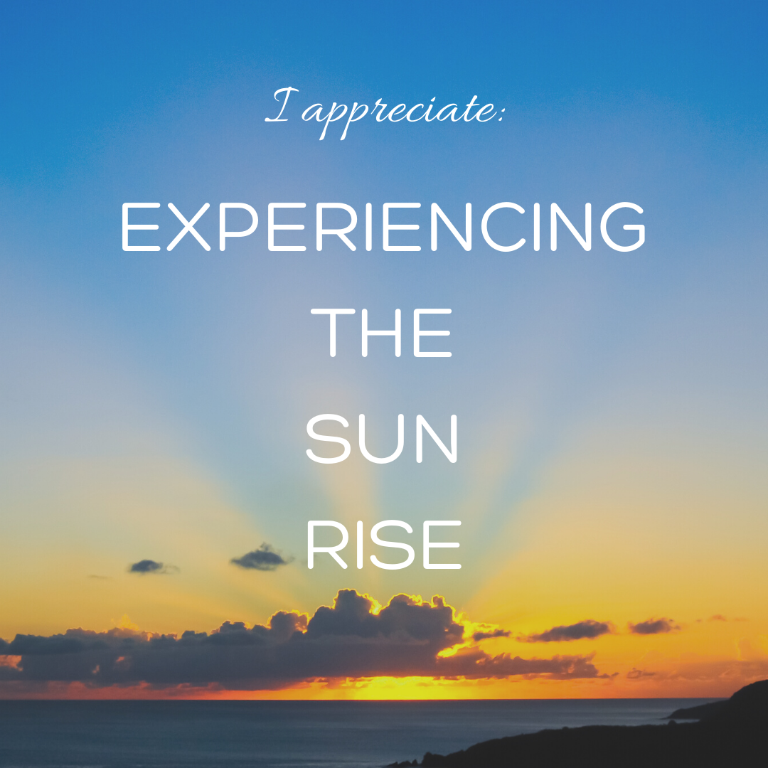 Refocus using Gratitude - jolenehalas.com